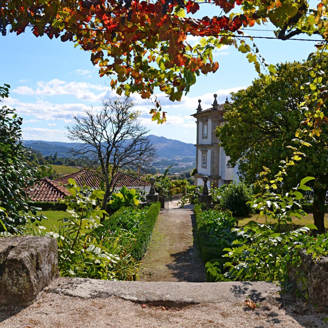 Private tour through Minho Wine Region with wine tasting. | GENUINE