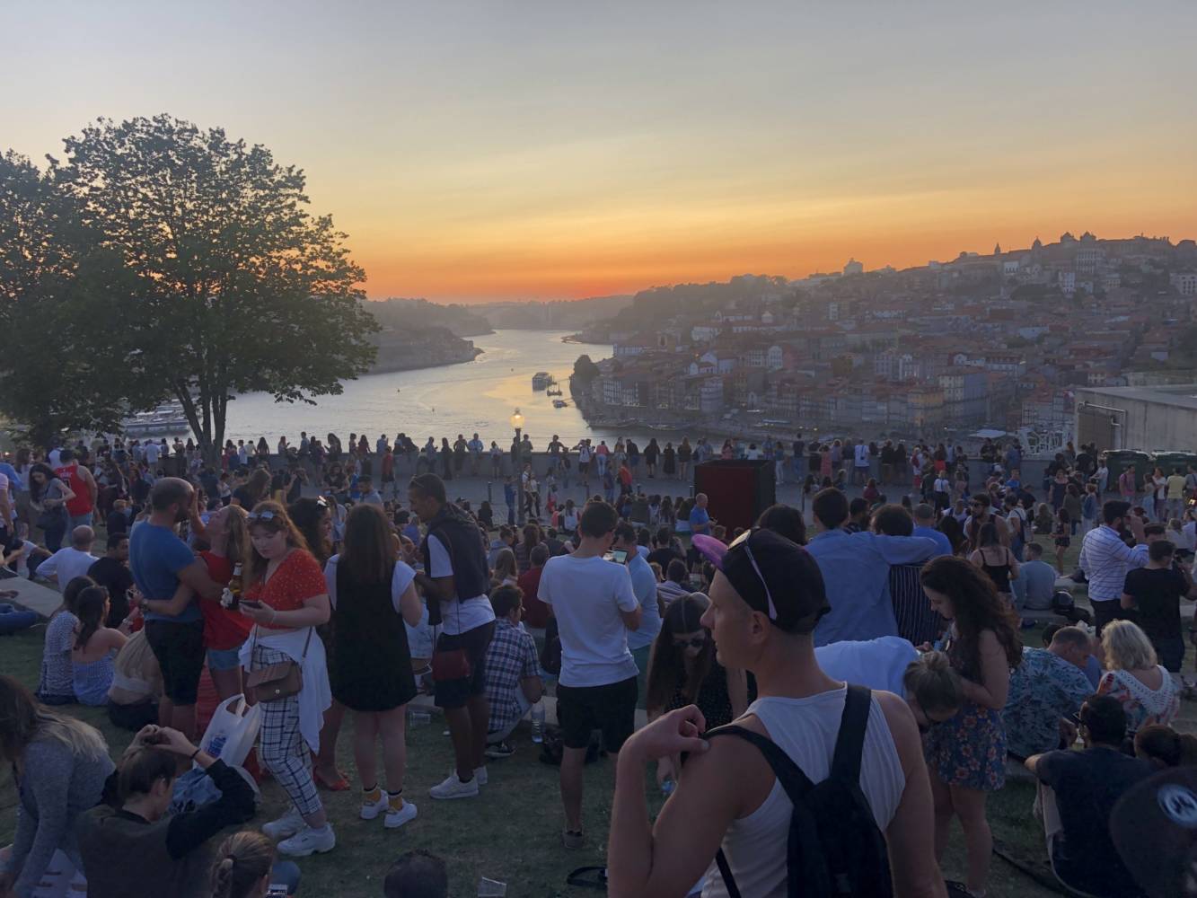 Discover the best viewpoint in Porto to take a photo or relax. | GENUINE